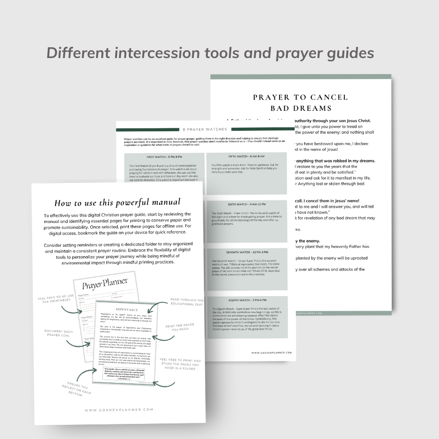 The Modern Watchman: A Spiritual Warfare and Intercession Manual ...